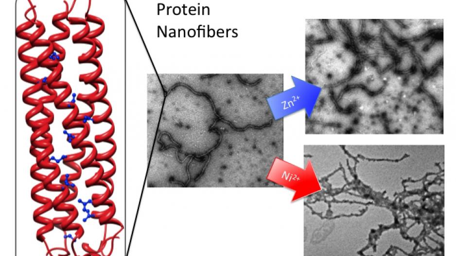 Nanofiber Breakthrough Holds Promise for Medicine and Microprocessors ...