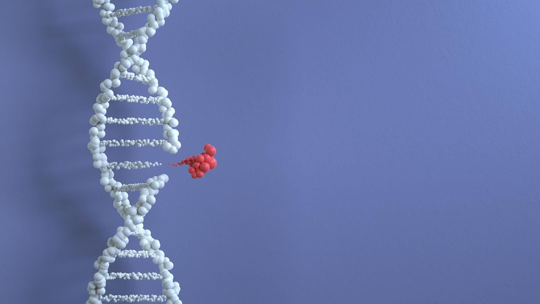 NYU Tandon exploring “megabase-scale” genetic engineering | NYU Tandon ...