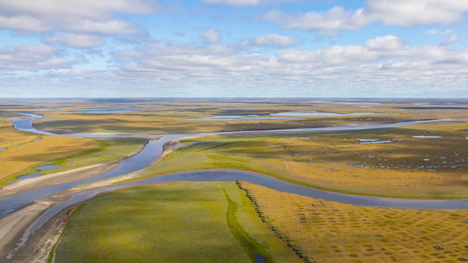 Climate change is altering nitrogen composition in Arctic rivers, study ...
