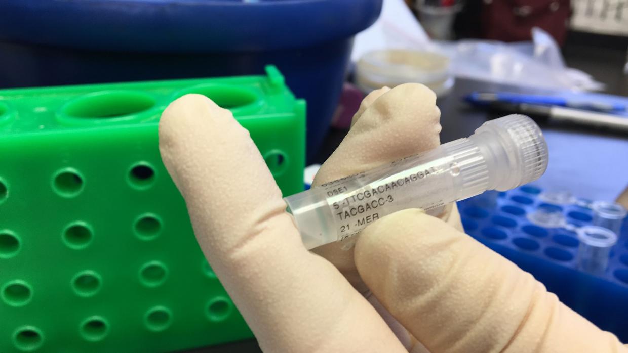 Researchers design genetic barcodes that authenticate DNA fingerprints ...