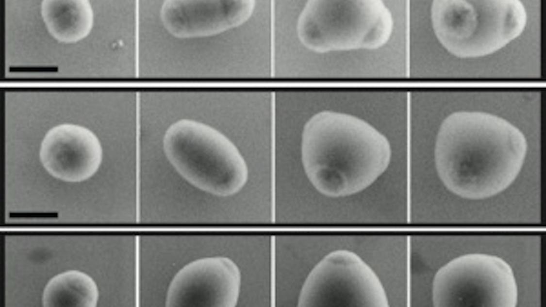 Research Labs and Groups | NYU Tandon School of Engineering
