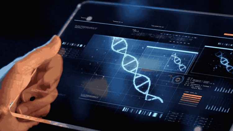 Bioinformatics Online at NYU | NYU Tandon School of Engineering