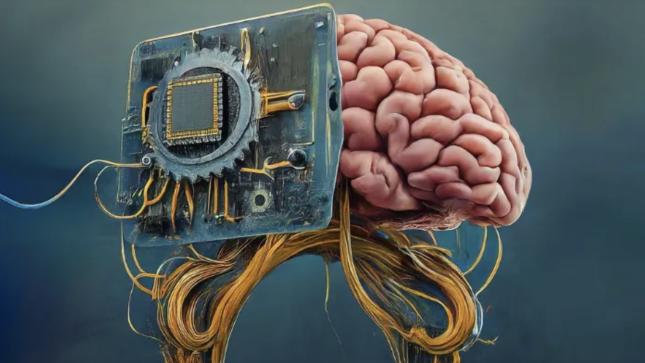 Biomedical Engineering | NYU Tandon School of Engineering