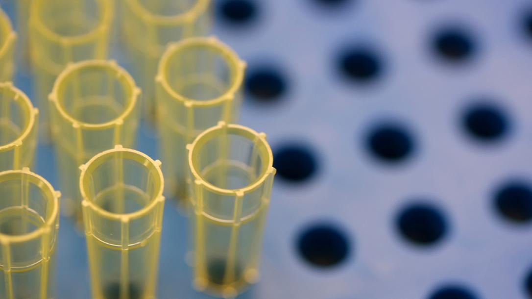 Chemical and Biomolecular Engineering | NYU Tandon School of Engineering