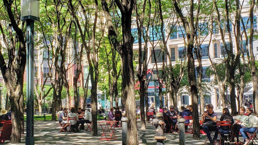 Home | NYU Tandon School of Engineering