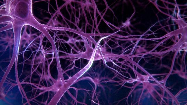 Health | NYU Tandon School of Engineering