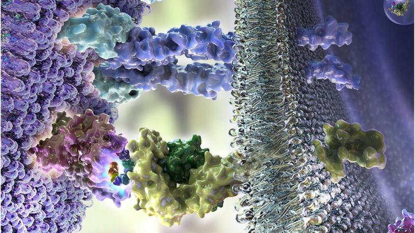 Labs and Groups | NYU Tandon School of Engineering