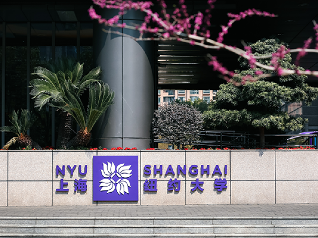 MOT Global | NYU Tandon School of Engineering