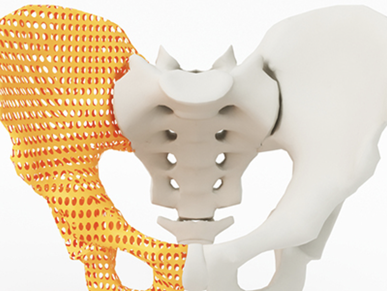 Biomedical Engineering | NYU Tandon School of Engineering