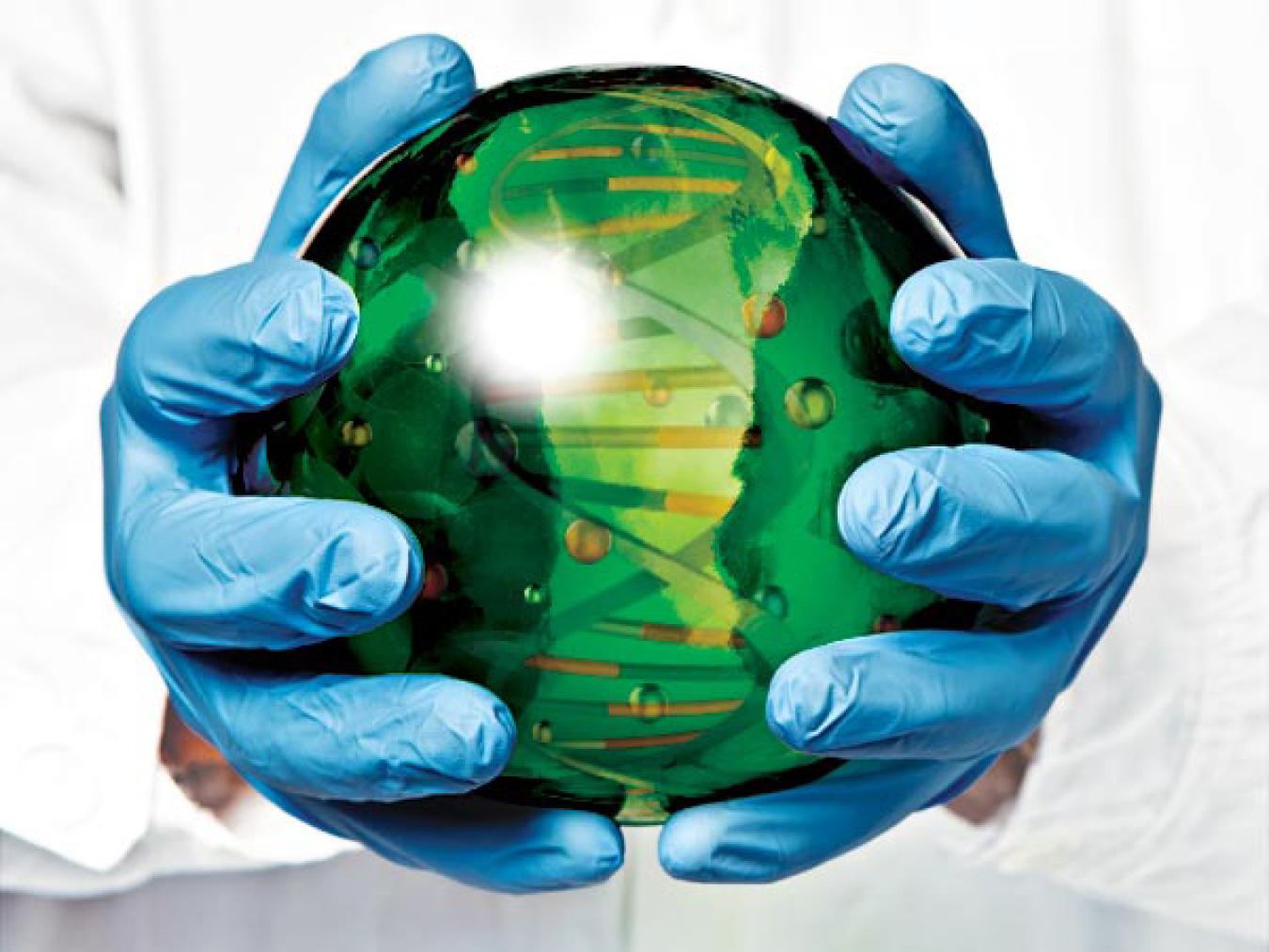 Biomedical Engineering | NYU Tandon School of Engineering