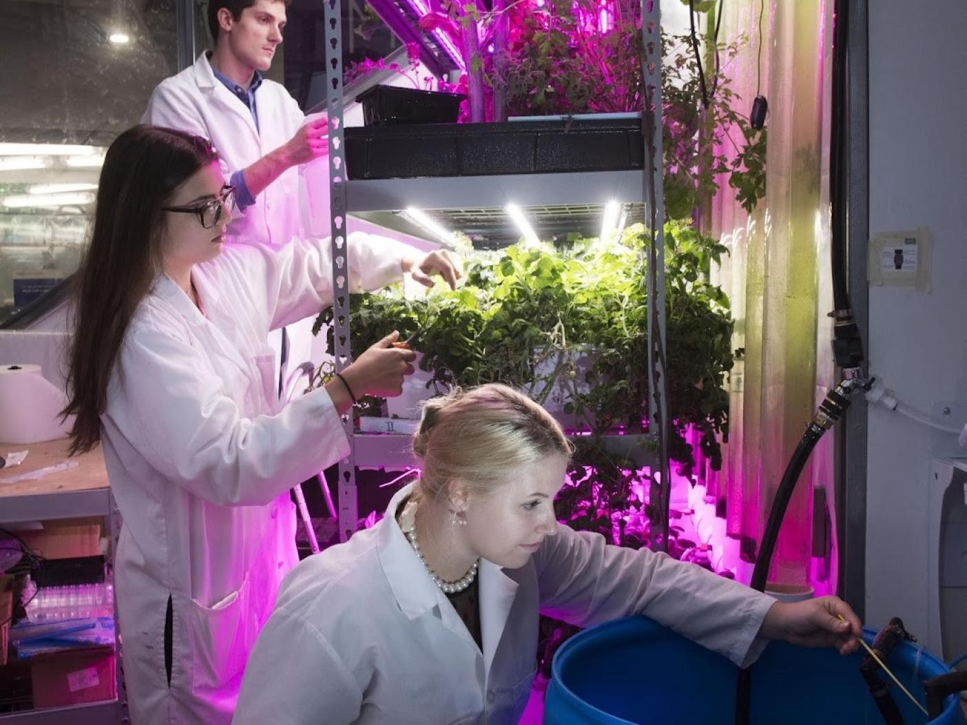 Undergraduate Summer Research Program | NYU Tandon School of Engineering