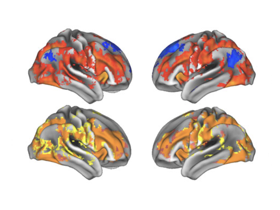 Predictive Mechanisms in Neural Perception | NYU Tandon School of ...