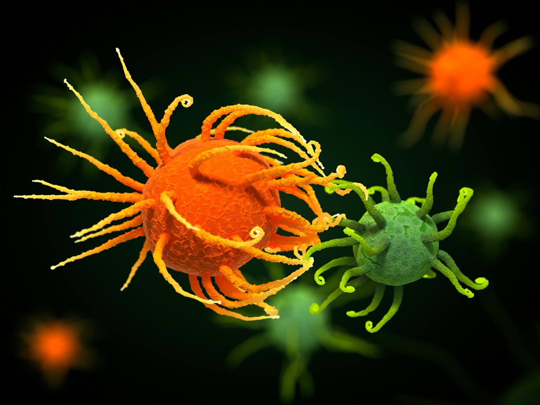 Biomolecular Science, B.S. | NYU Tandon School of Engineering