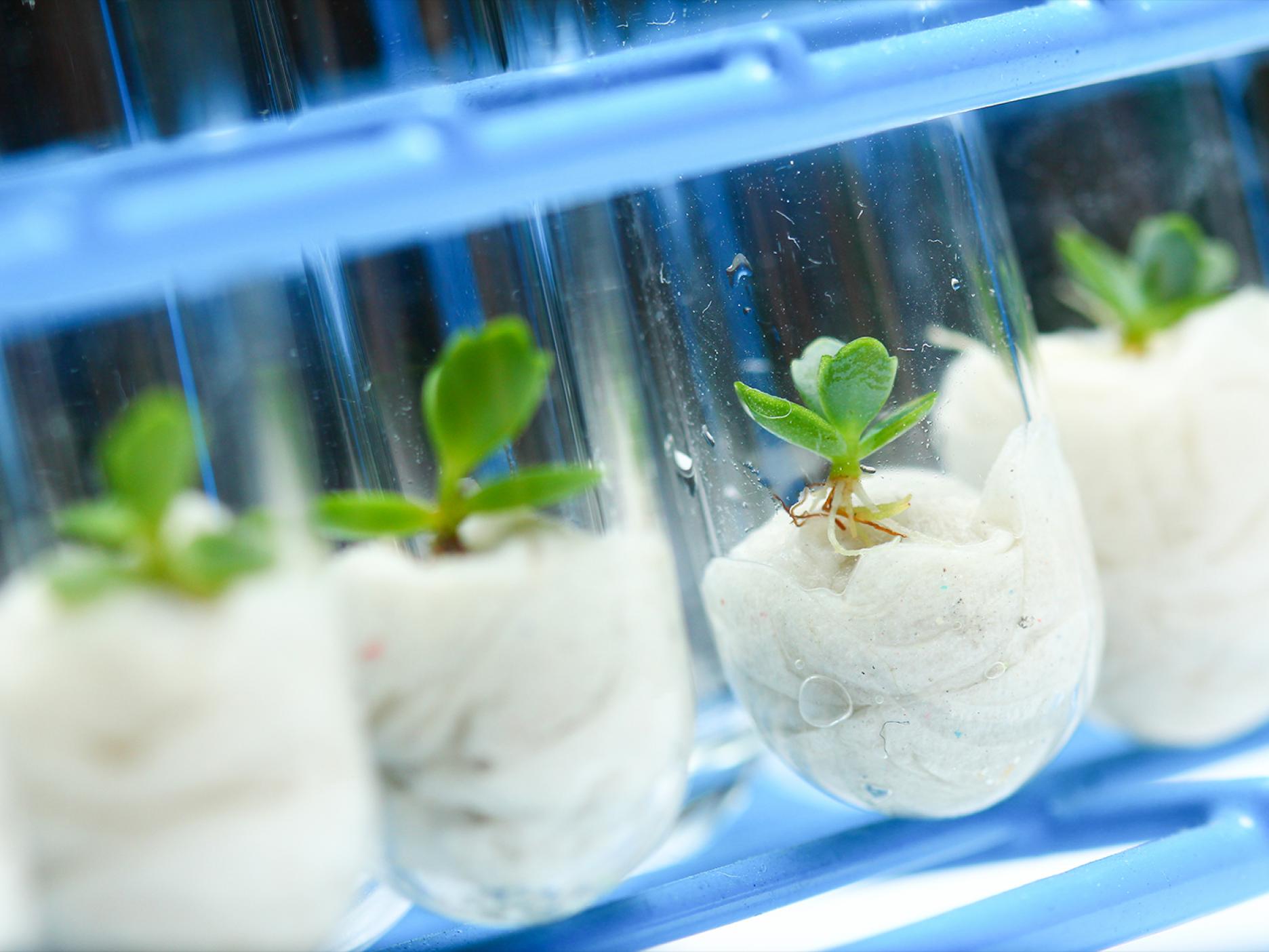 Chemical and Biomolecular Engineering | NYU Tandon School of Engineering