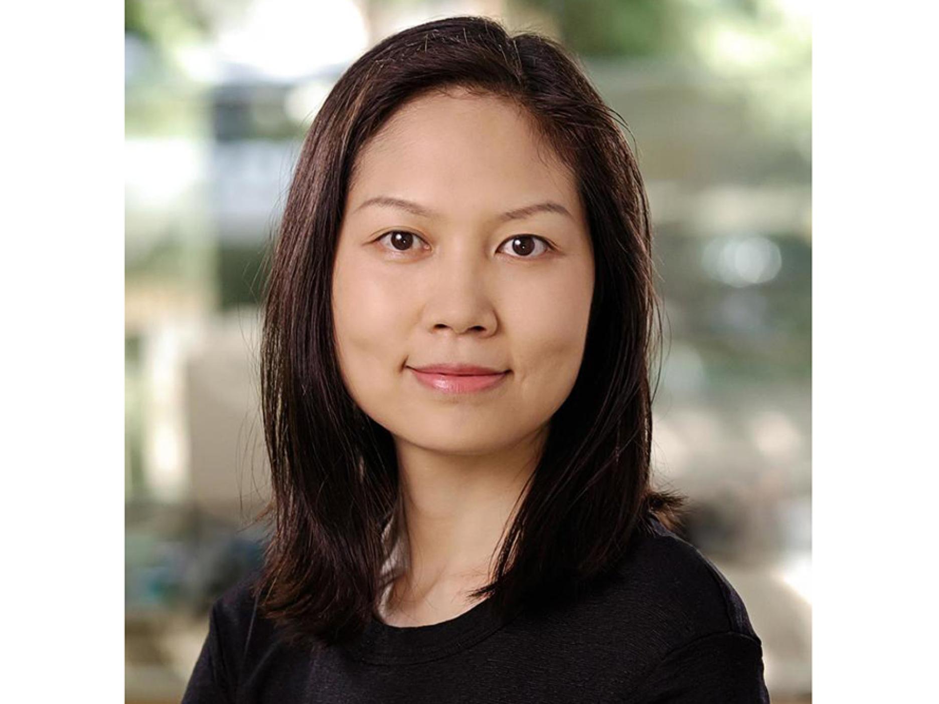 Ning Lin: Tropical Cyclone Hazards and Risk Analysis | NYU Tandon ...