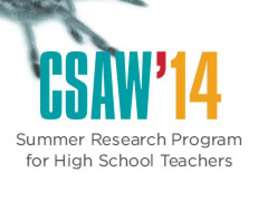 CSAW Summer Research and Training for High School Teachers | NYU Tandon ...
