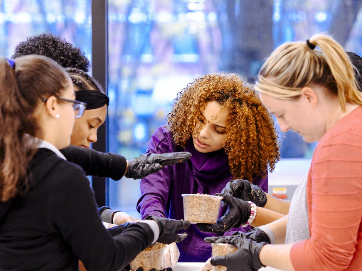 Student Advocacy | NYU Tandon School of Engineering