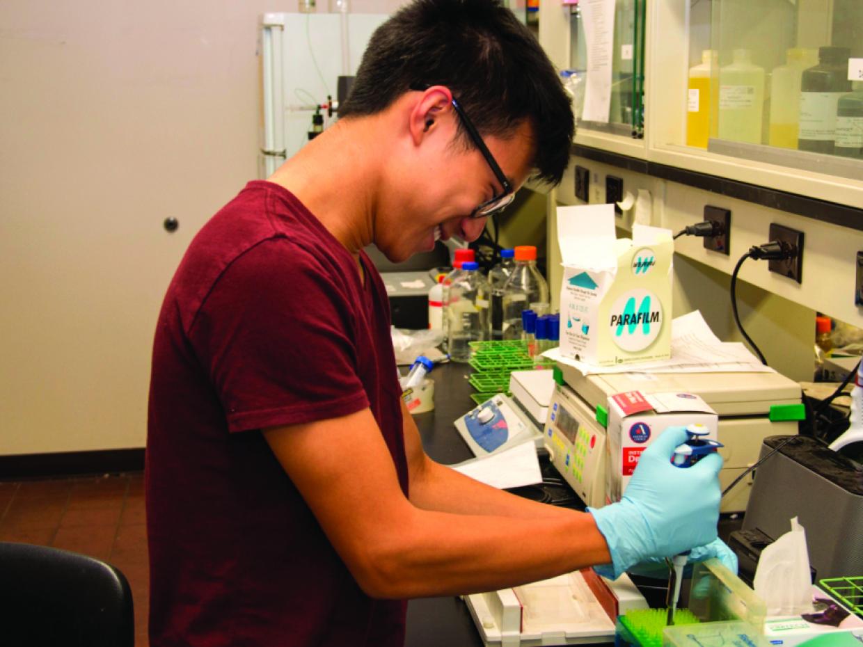 Labs and Groups | NYU Tandon School of Engineering