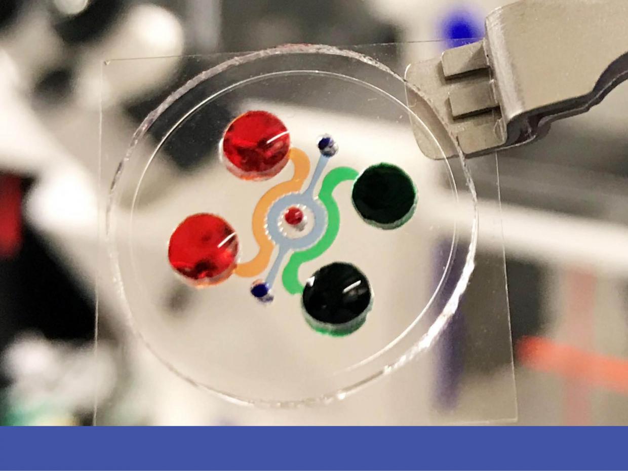 The Unconventional Engineer | NYU Tandon School of Engineering