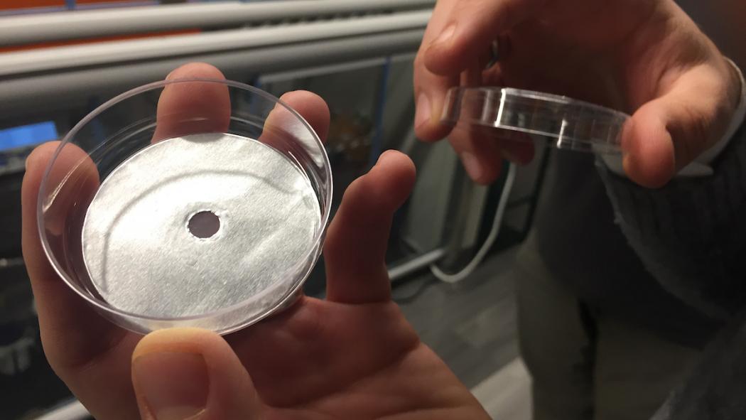Researchers turbocharge hydrogen fuel cells with novel ion-conducting ...