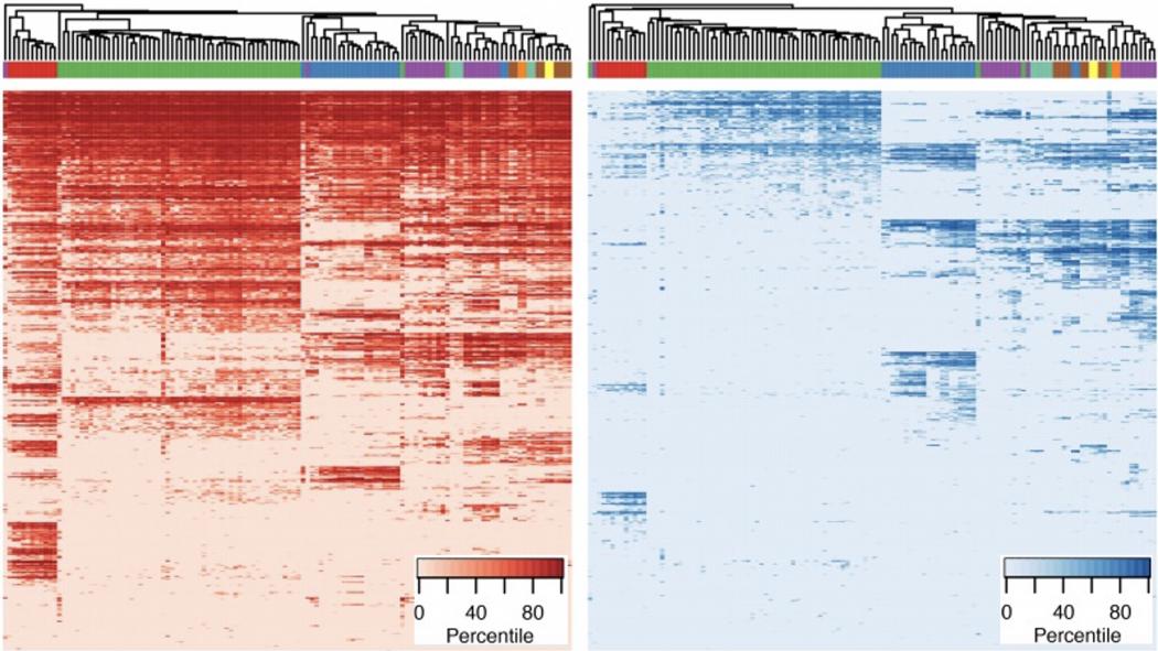 Epigenomic Maps of the Human Heart | NYU Tandon School of Engineering