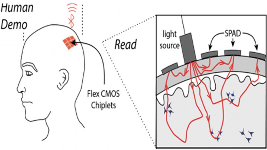 Modeling of Light Propagation and Image Formation in Human Tissue: From ...