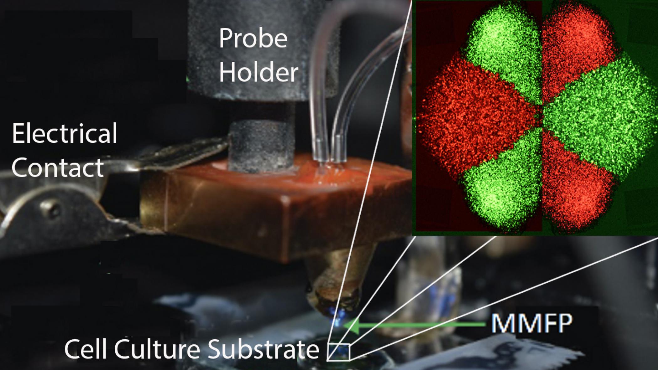 Multiphysics Microfluidic Probes for Multiparametric Single-Cell Manipulations | NYU Tandon ...