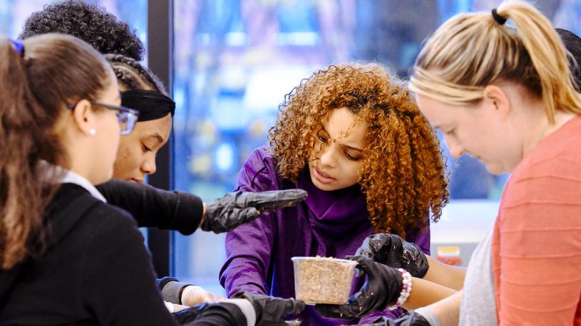 Life At Tandon Nyu Tandon School Of Engineering