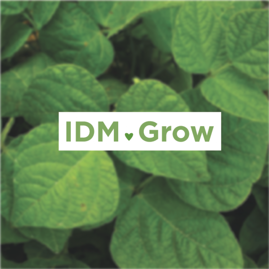 IDM Grow (GY) | NYU Tandon School of Engineering