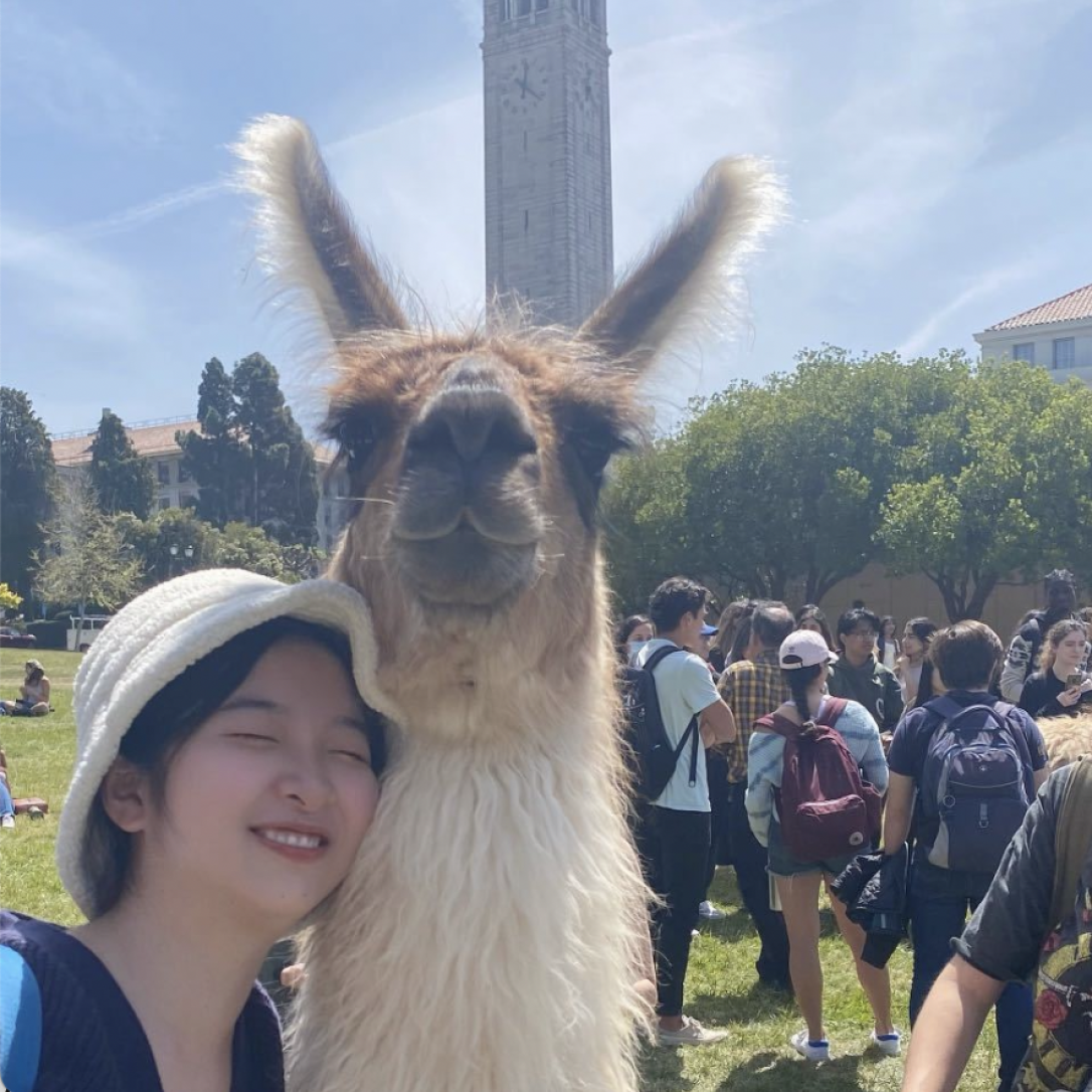 Yazhou Zhao | NYU Tandon School of Engineering